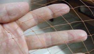 NETTING - baanpramong